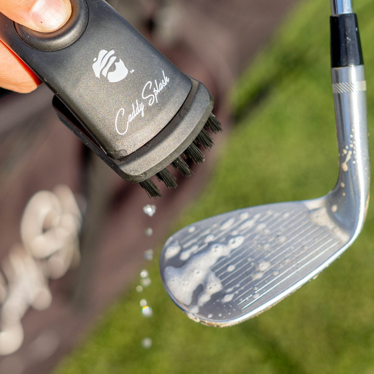 Shop All – Caddy Splash